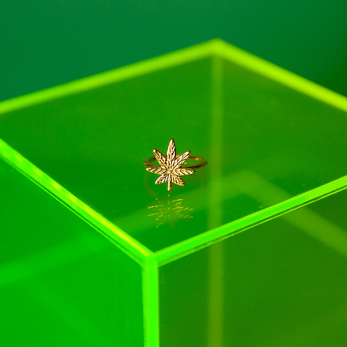 Mary Jane Knuckle Ring – VidaKush